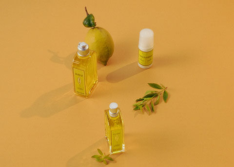 Classic Verbena Products | Verbena Care | L'OCCITANE IE