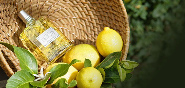Cédrat - Natural Ingredient for Men | L'Occitane