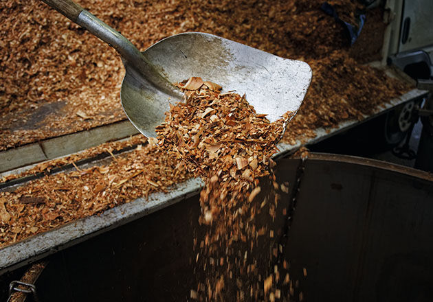 Cade Wood - Juniper Oil - Natural Ingredients | L'OCCITANE IE