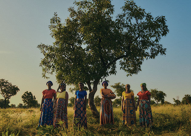 Organic & Sustainable Shea Butter Collection | L'OCCITANE IE