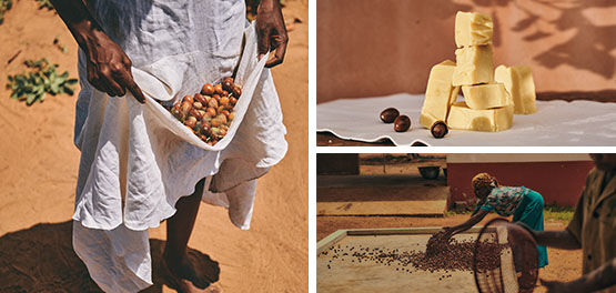 Organic & Sustainable Shea Butter Collection | L'OCCITANE IE